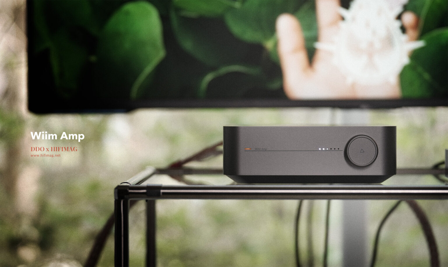 엔트리급을 평정하러 왔다! 윔 울트라 (WiiM Ultra) - DDOMAG: 두두오 x 하이파이매거진