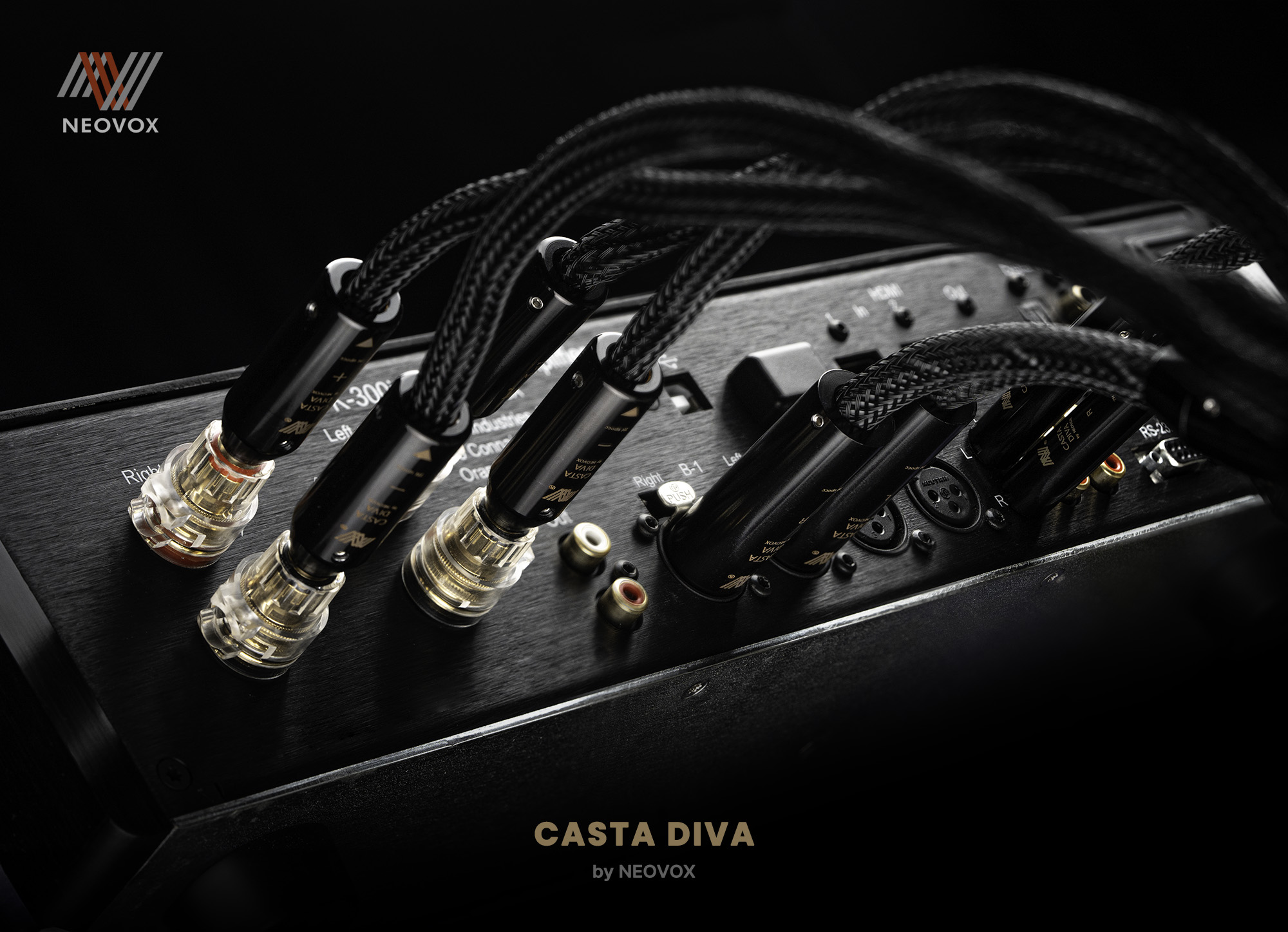 네오복스 Casta Diva - 20년 외길, 네오복스 케이블의 결정판 - DDOMAG: 두두오 x 하이파이매거진